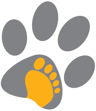 Best computer education institute in Pakistan. Get trained in latest ...